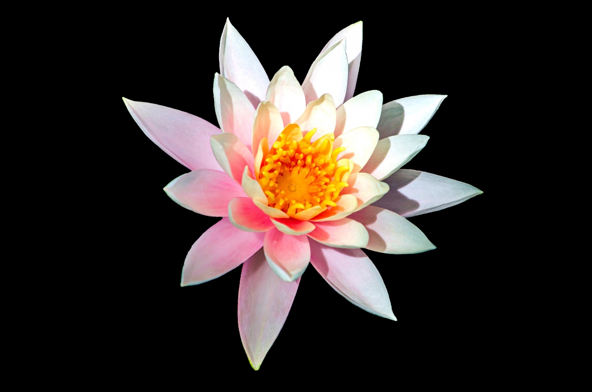Nyungne Purifiying Retreat Apr 12 - Meditation in Orlando